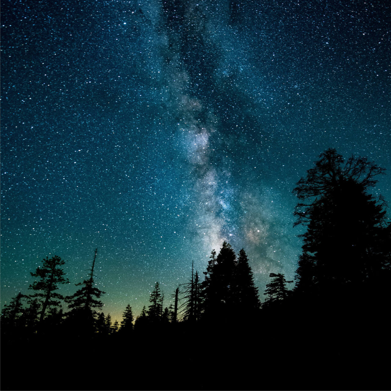 Transition Regret · Therapy First